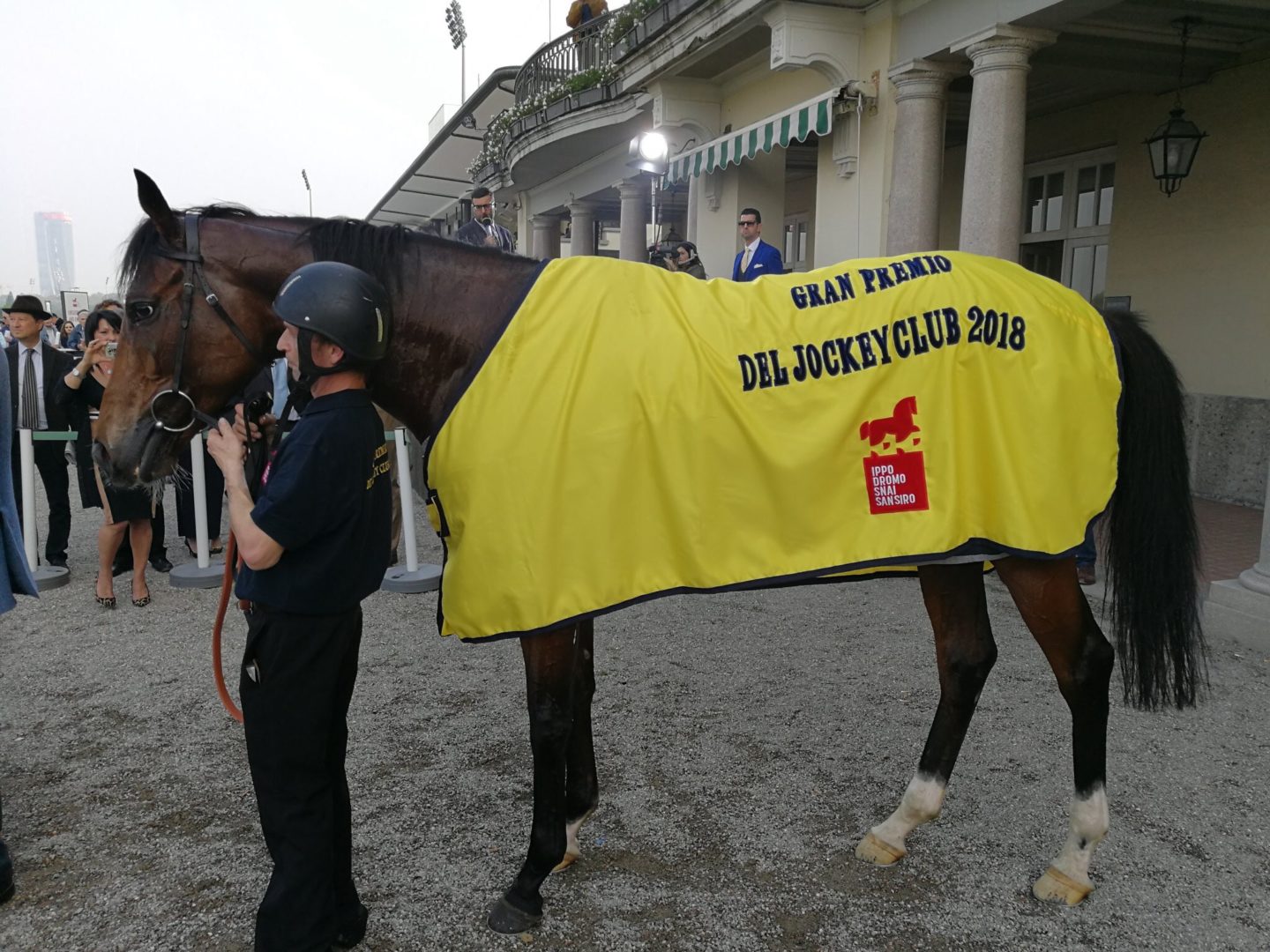 Raymond Tusk wins Group 2 in Italy... - Peter & Ross Doyle Bloodstock