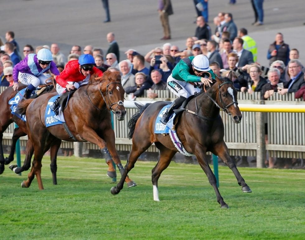 Limato wins Group 3 Criterion Stakes... - Peter & Ross Doyle Bloodstock