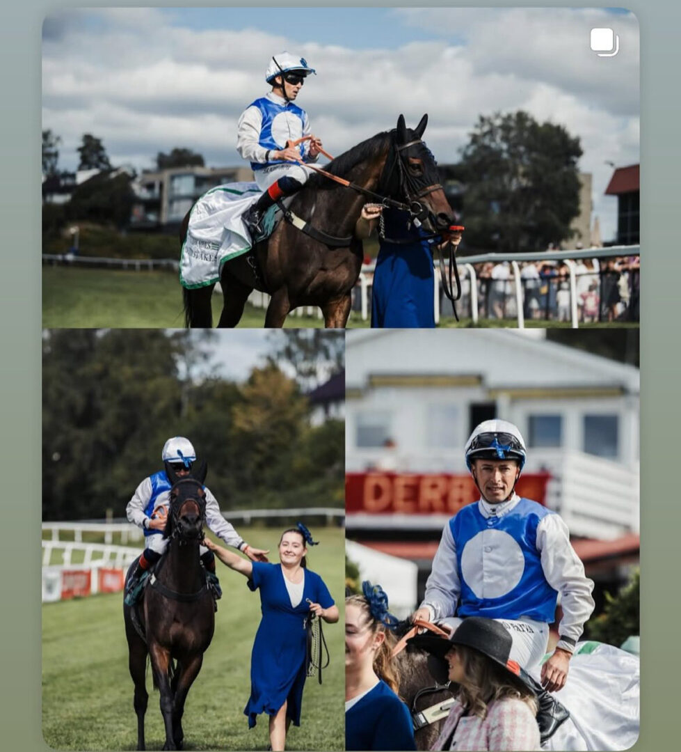 Peter Doyle August 2025 - Peter & Ross Doyle Bloodstock